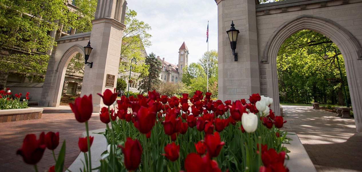 Spring 2023: Newsletter: Alumni + Giving: Department of Sociology ...